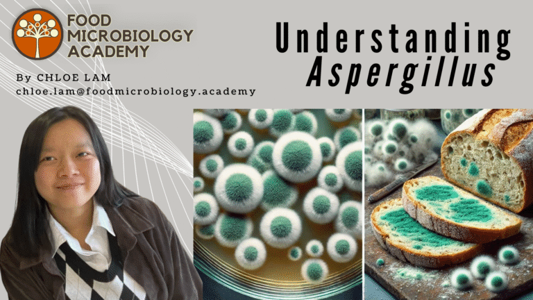 Understanding Aspergillus: How this common mould causes aspergillosis ...